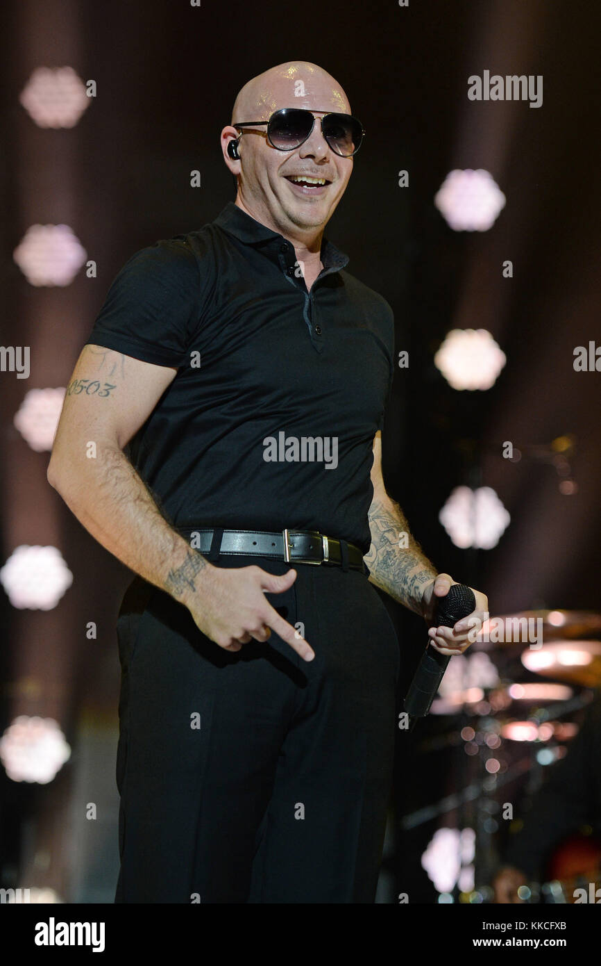 Pitbull The Singer Smiling