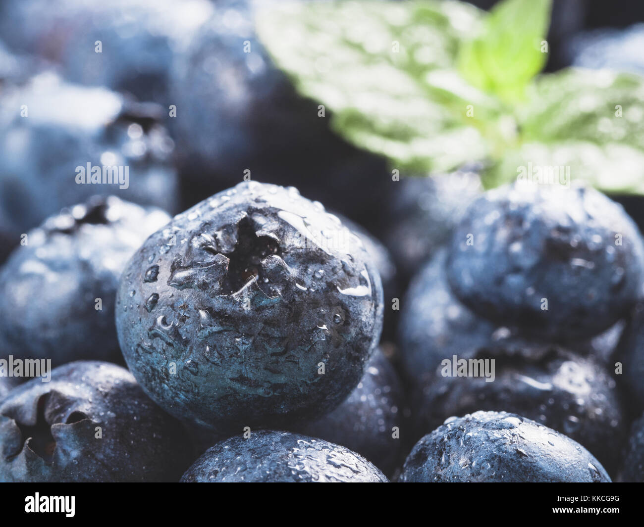 Extreme close up Blueberries Stock Photo - Alamy