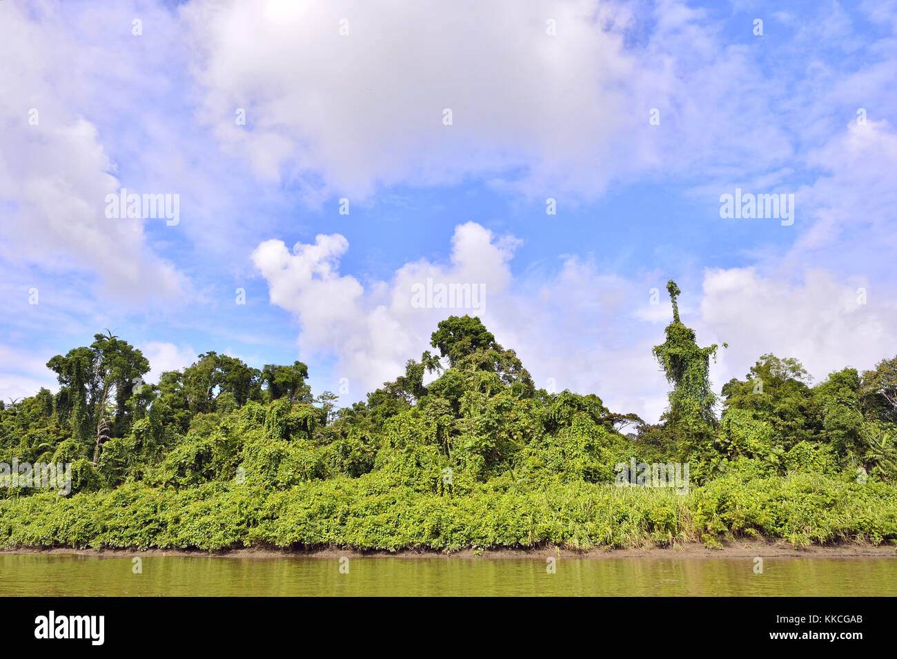River new guinea landscape scenic scenery hi-res stock photography and ...