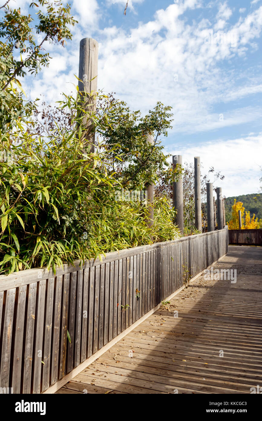 Wooden walking bridge with trees on the sides Stock Photo - Alamy