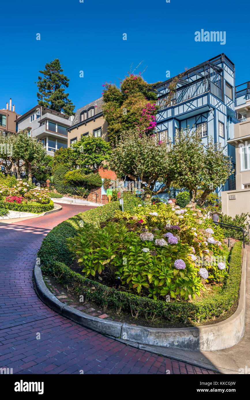 Lombard Street, San Francisco, California, USA Stock Photo - Alamy Lombard Street, San Francisco, California, USA Stock Photo - Alamy