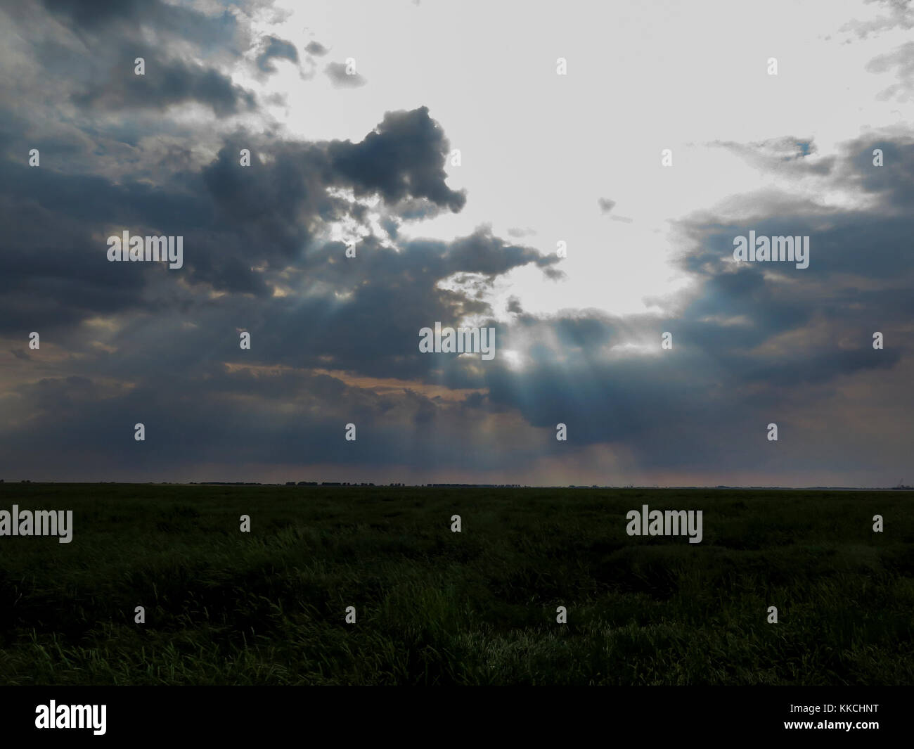 Views of The Wash, Terrington St Clements marshes, King's Lynn, Norfolk ...