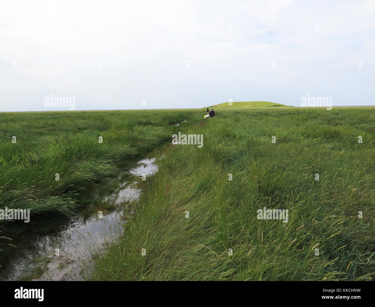 Views of The Wash, Terrington St Clements marshes, King's Lynn, Norfolk ...