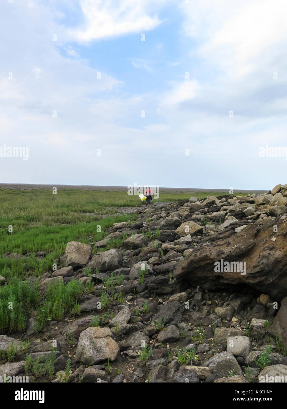 Views of The Wash, Terrington St Clements marshes, King's Lynn, Norfolk ...