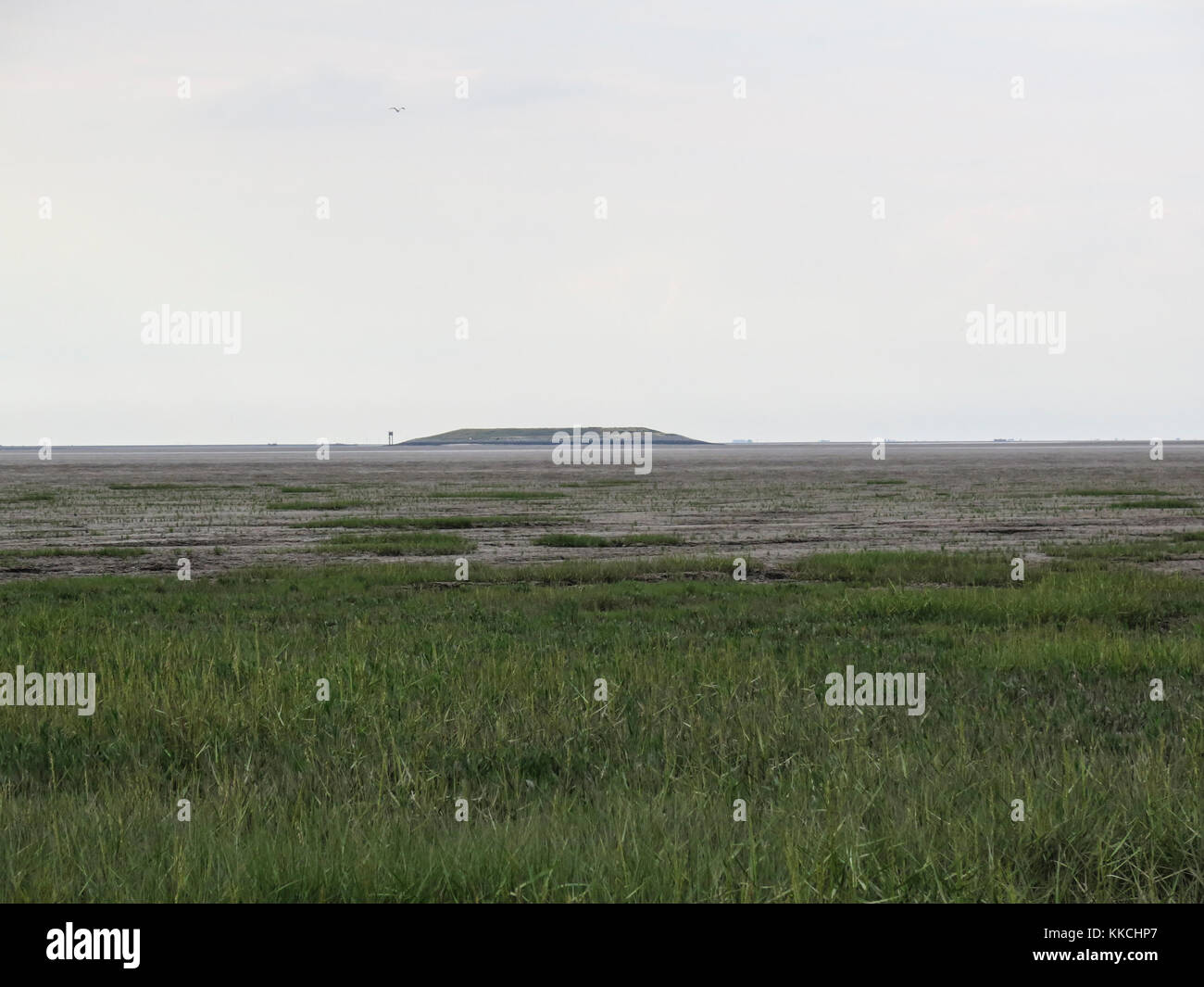 Views of The Wash, Terrington St Clements marshes, King's Lynn, Norfolk ...