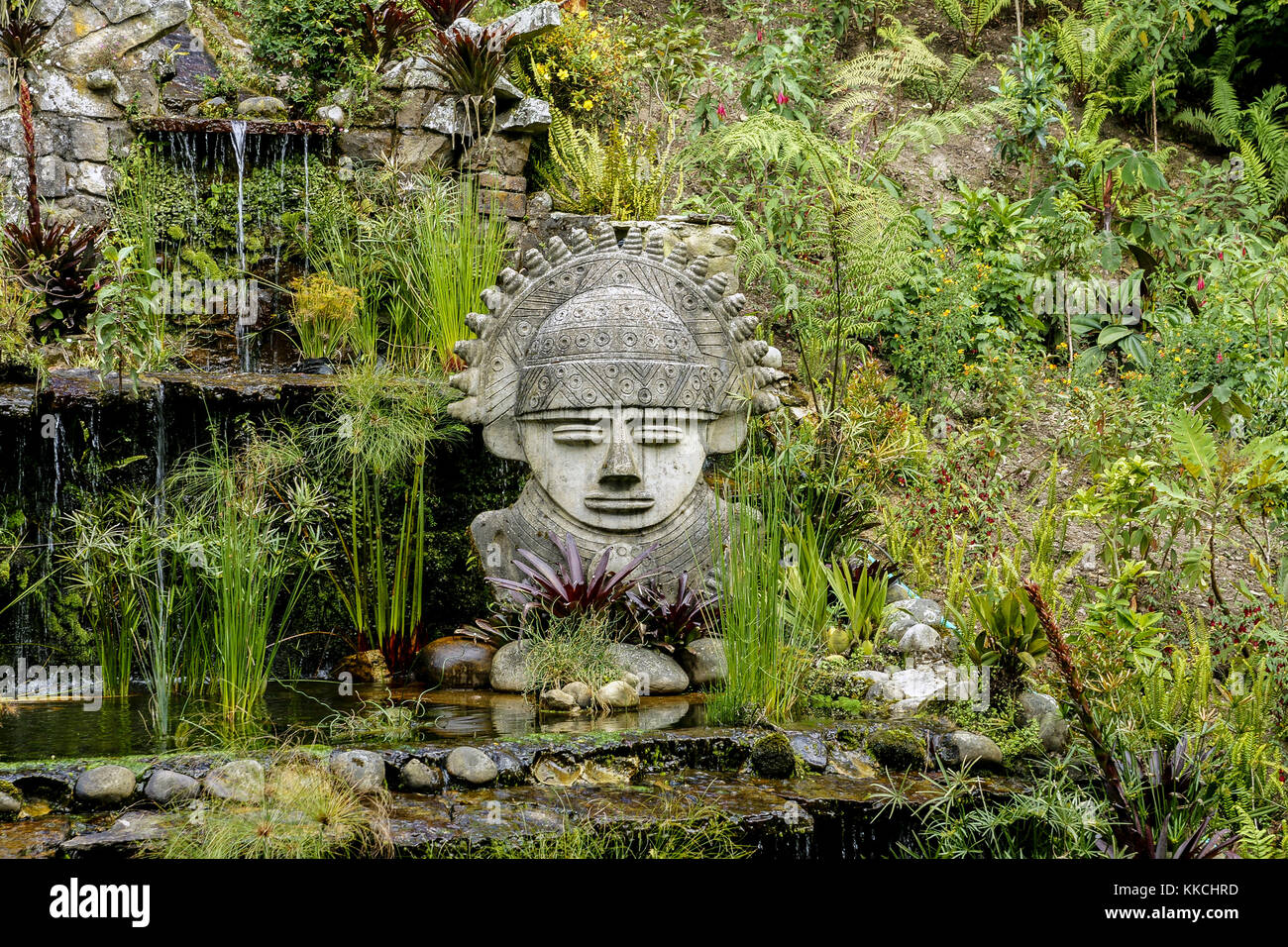 Bogota Flower High Resolution Stock Photography and Images - Alamy