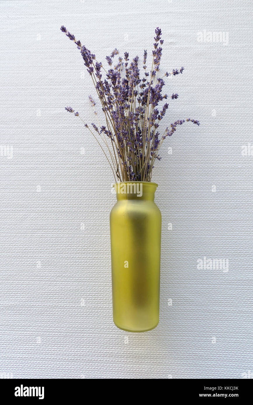 Translucent purple hi-res stock photography and images - Alamy