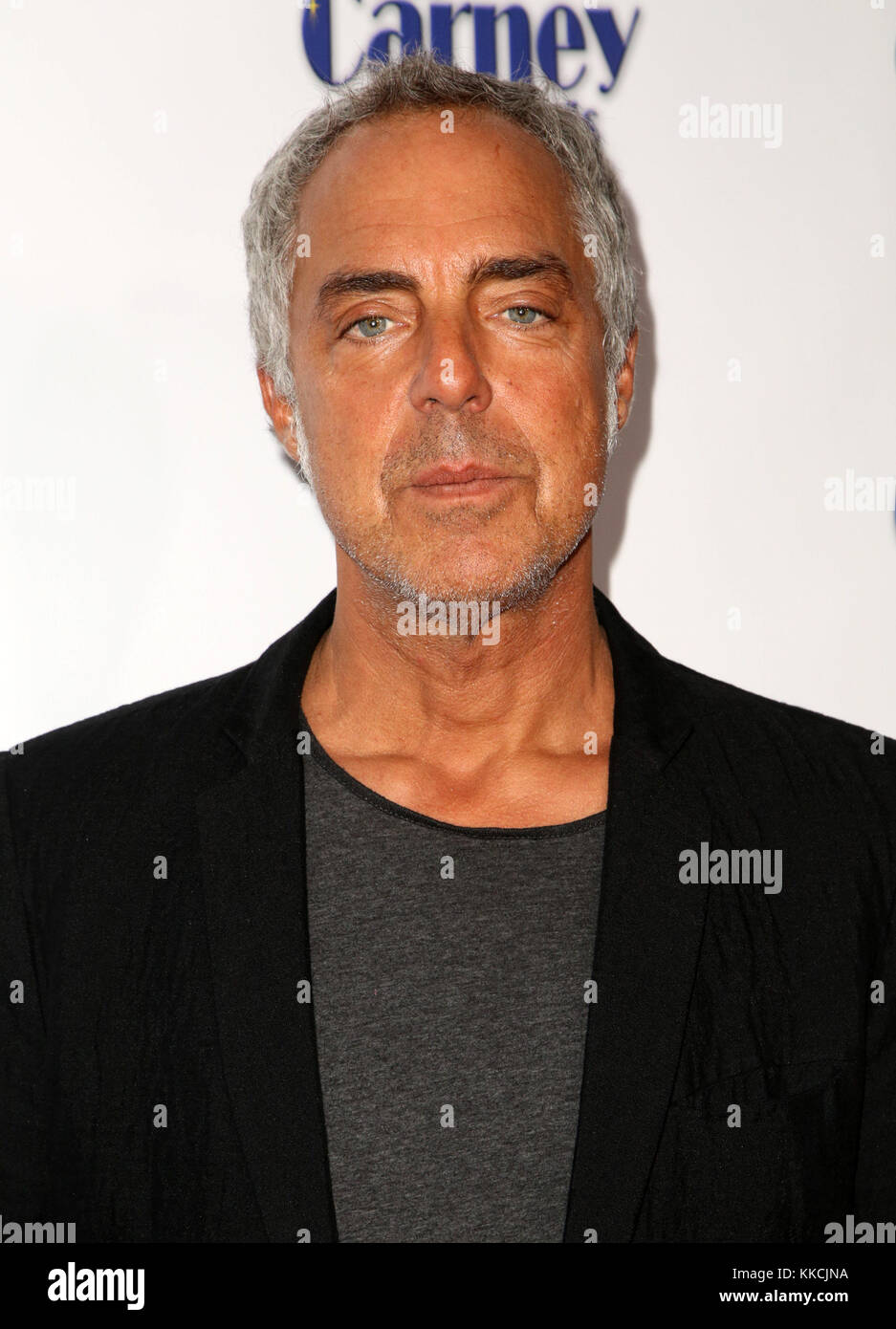 Celebrites attend 3rd Annual Carney Awards at The Broad Stage ...