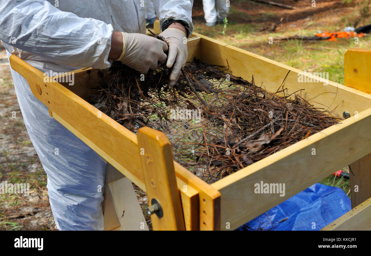 A participant sifts through dirt to recover potential ‘evidence’ during ...