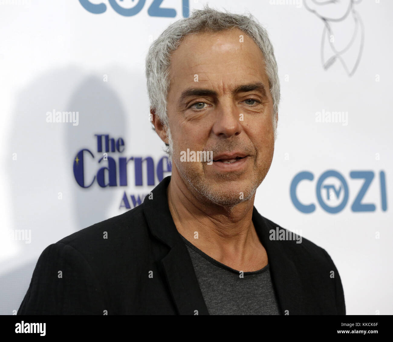 Celebrites attend 3rd Annual Carney Awards at The Broad Stage ...