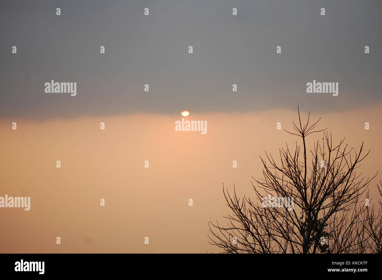 Dead dry tree stand on top of mountain Doi Samer Dao and Pha Hua Sing ...