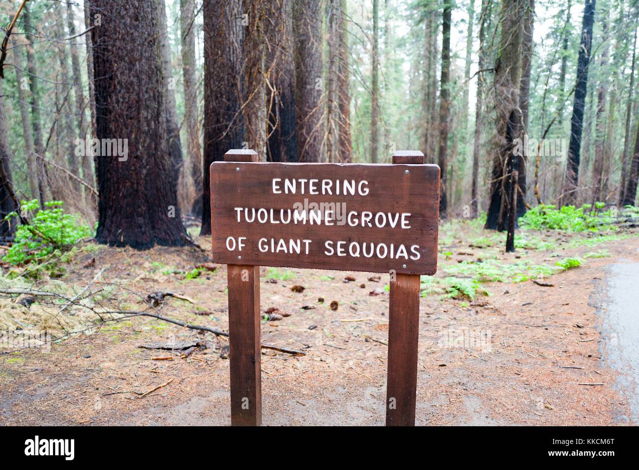Entrance sign yosemite national park hi-res stock photography and ...