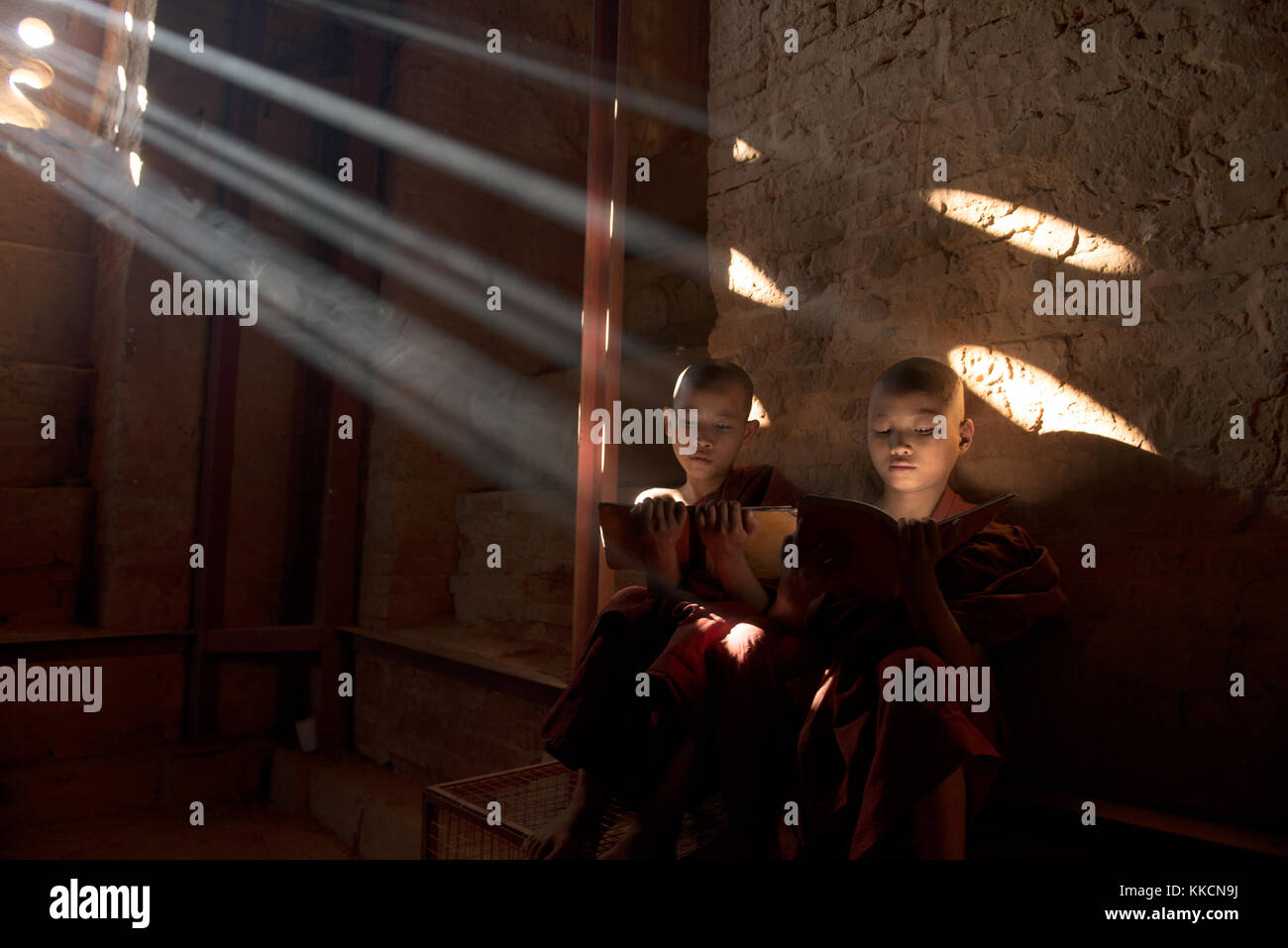 monks reading in monastry Stock Photo - Alamy