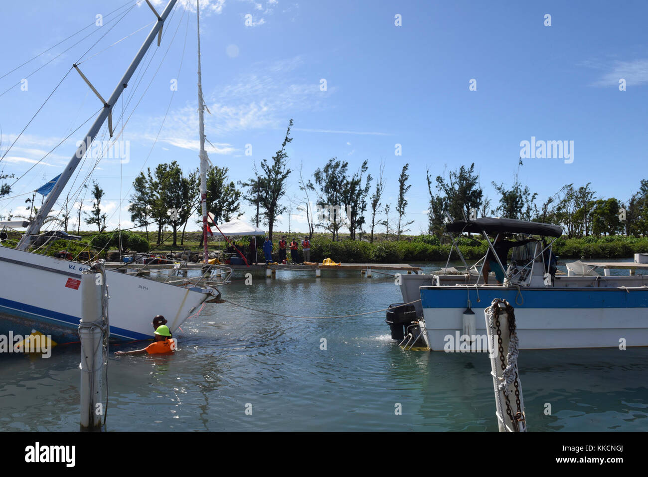 Threatened endangered spec hi-res stock photography and images - Alamy