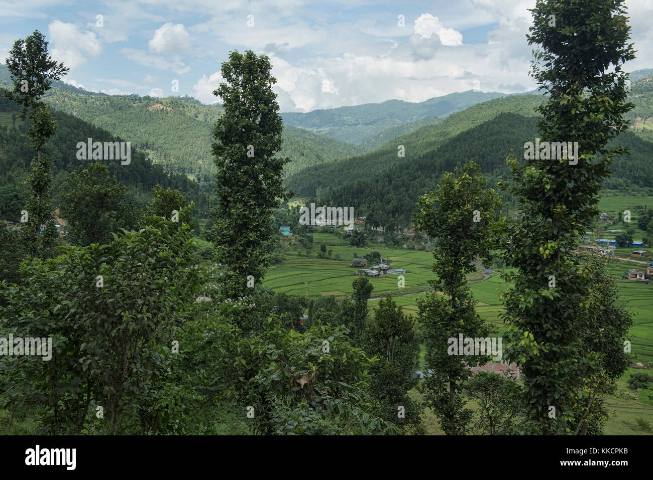 Rice terraces in the Himalayan foothills on the Manaslu Circuit Trek ...