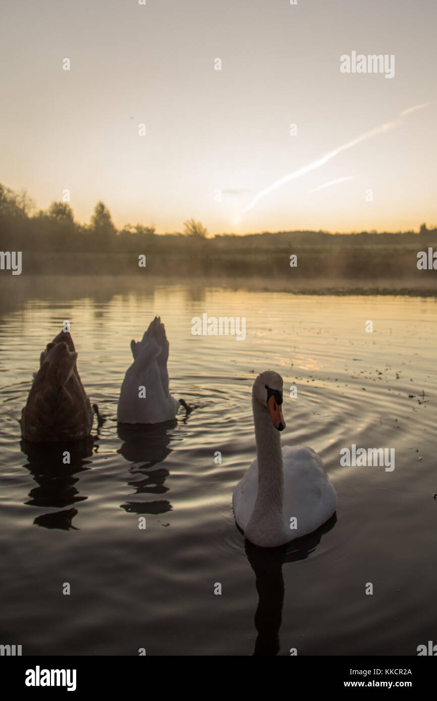 It was a cold start in Cobham, Kent where temperatures were around 2 ...