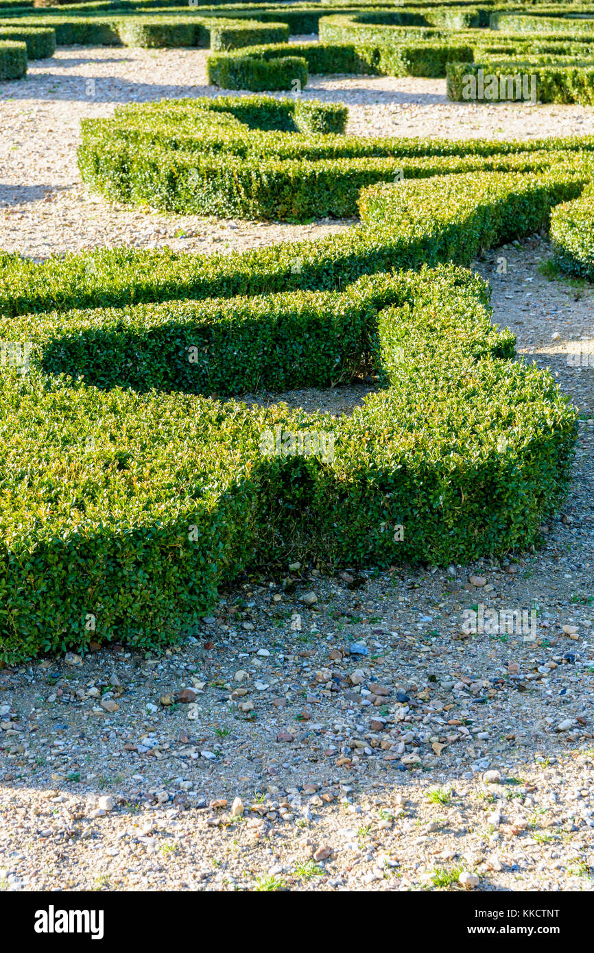Clipped Boxwood High Resolution Stock Photography and Images - Alamy