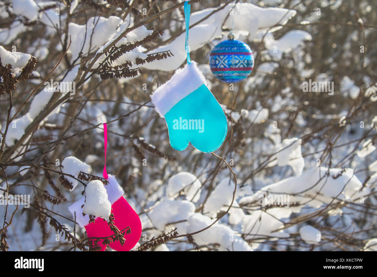 Blue and pink mittens hang on branches with snow. Christmas toys Stock ...