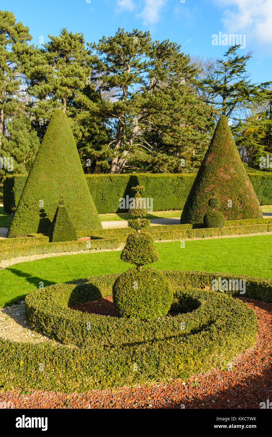 Boxwood trees in garden hi-res stock photography and images - Alamy
