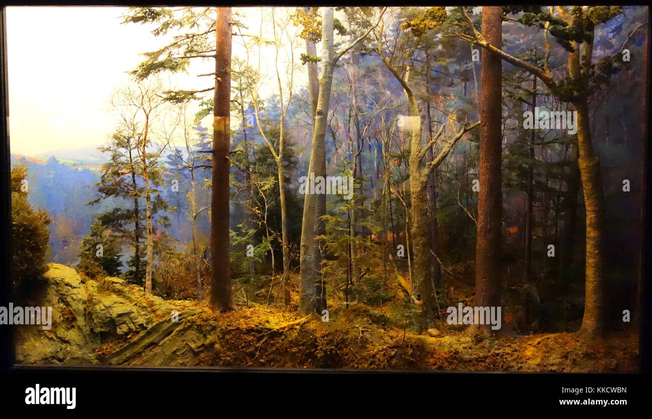 Case 01 - The Precolonial Forest (1700) - Dioramas in the Fisher Museum ...