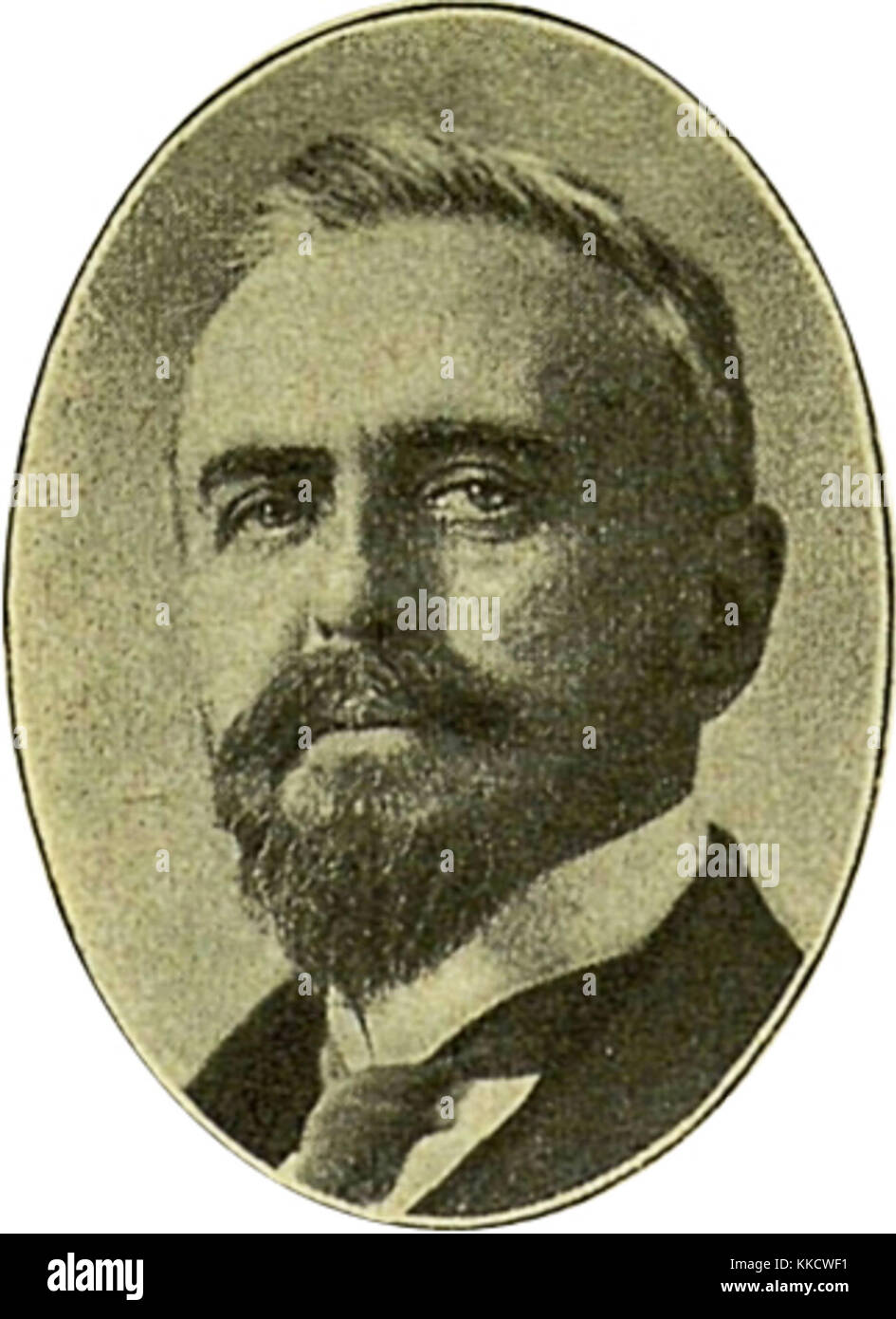 Vladimir musin pushkin hi-res stock photography and images - Alamy