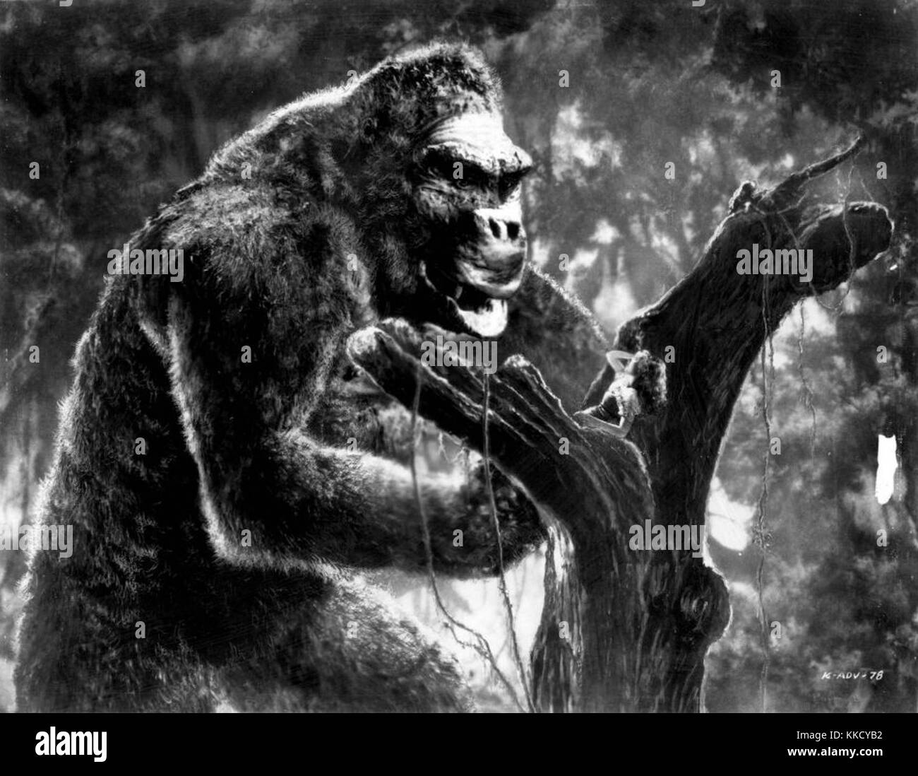 Fay wray king kong hi-res stock photography and images - Alamy
