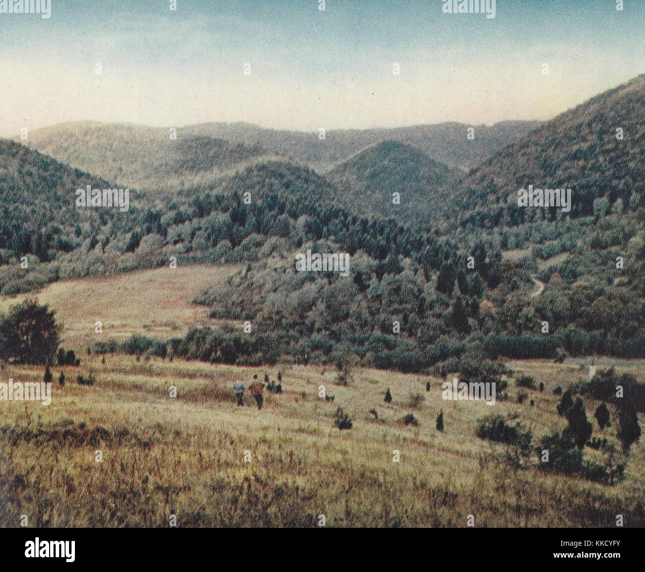 Jablonki hi-res stock photography and images - Alamy