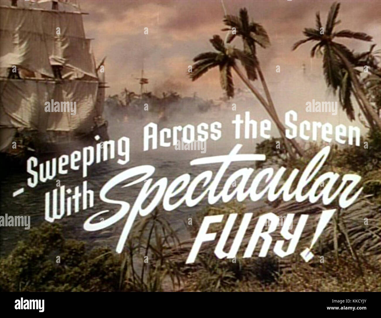 Black swan 9 Stock Photo - Alamy