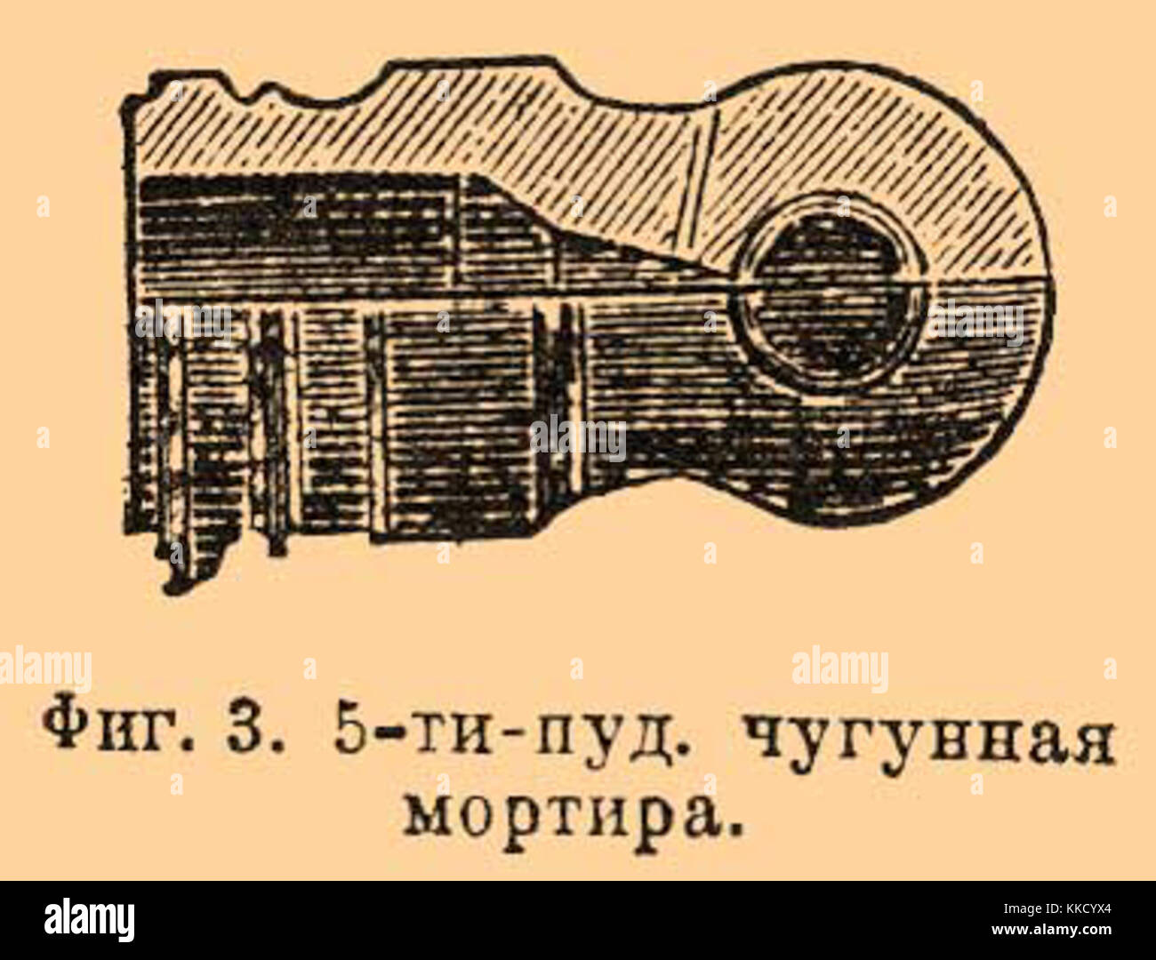 A page from the *Brockhaus and Efron Encyclopedic Dictionary ...