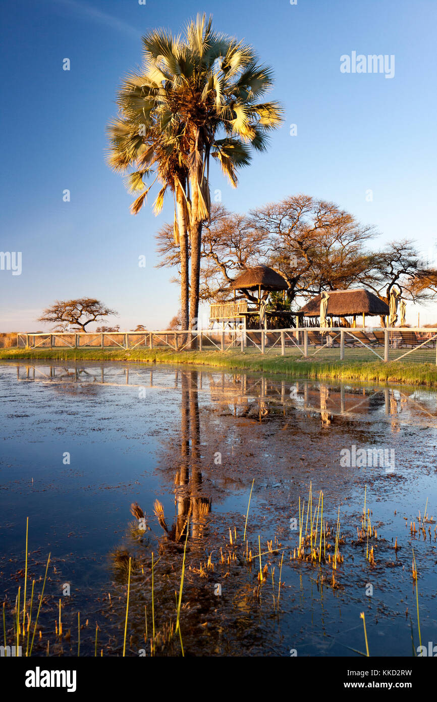 Waterhole at Onguma Bush Camp, Onguma Game Reserve, Namibia, Africa ...