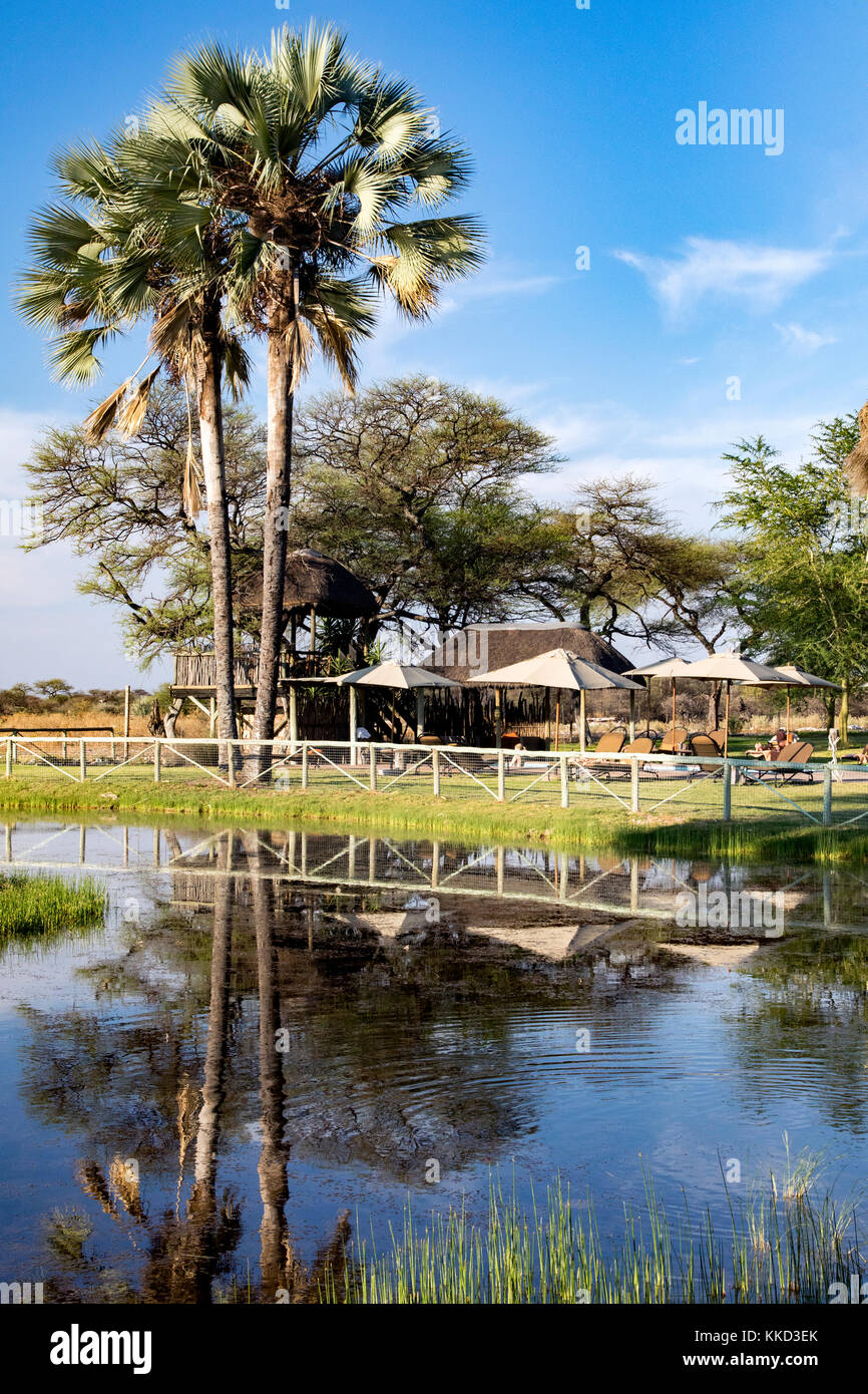 Waterhole at Onguma Bush Camp, Onguma Game Reserve, Namibia, Africa ...