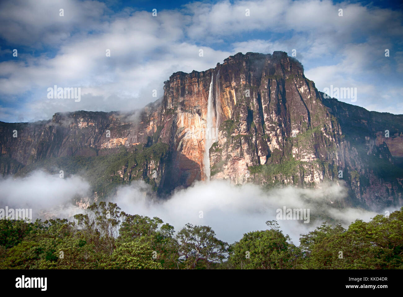 Angel falls - view to the tallest waterfall on Earth in early morning ...