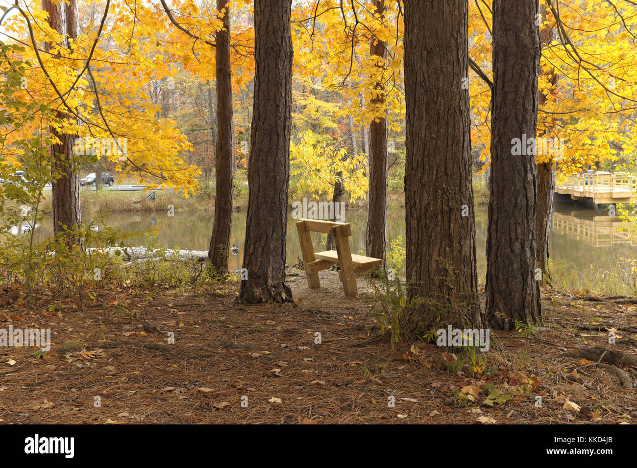 Fall in the Cleveland Metroparks system provides ideal settings within ...