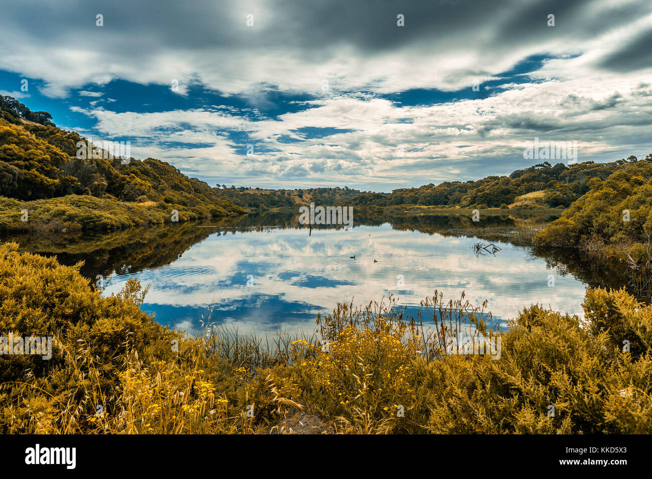 Tower Hill lake, Victoria, Australia Stock Photo - Alamy