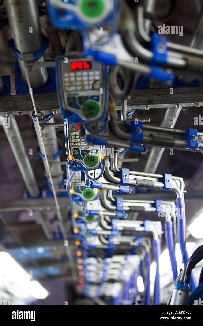 automatic milking system Stock Photo - Alamy