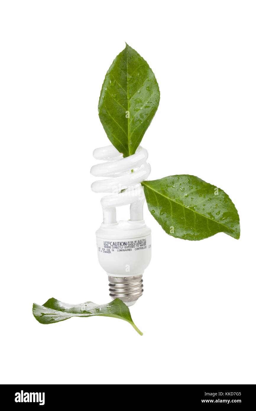 ecological concept light bulb Stock Photo - Alamy