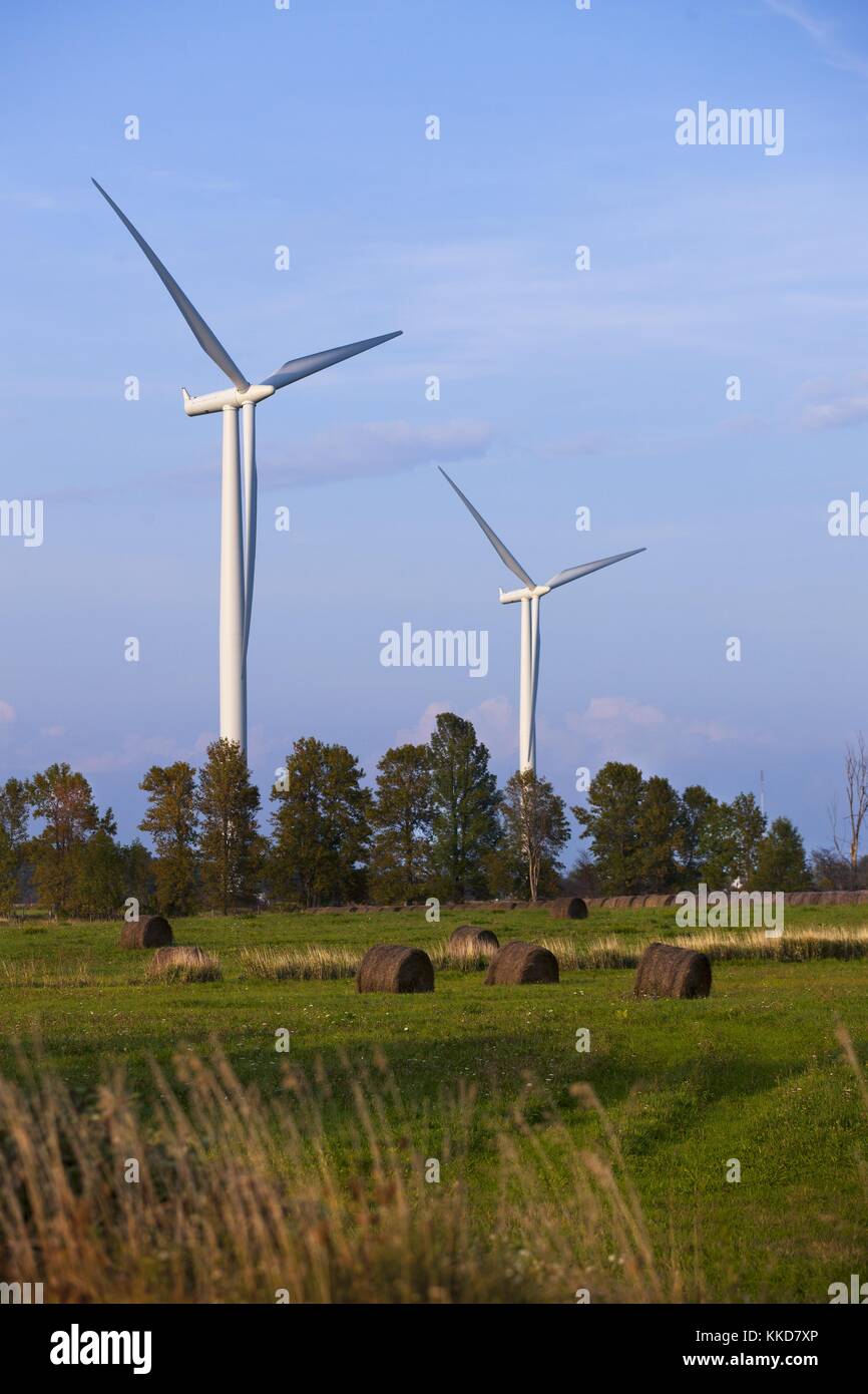 wind mill in hay farm Stock Photo - Alamy