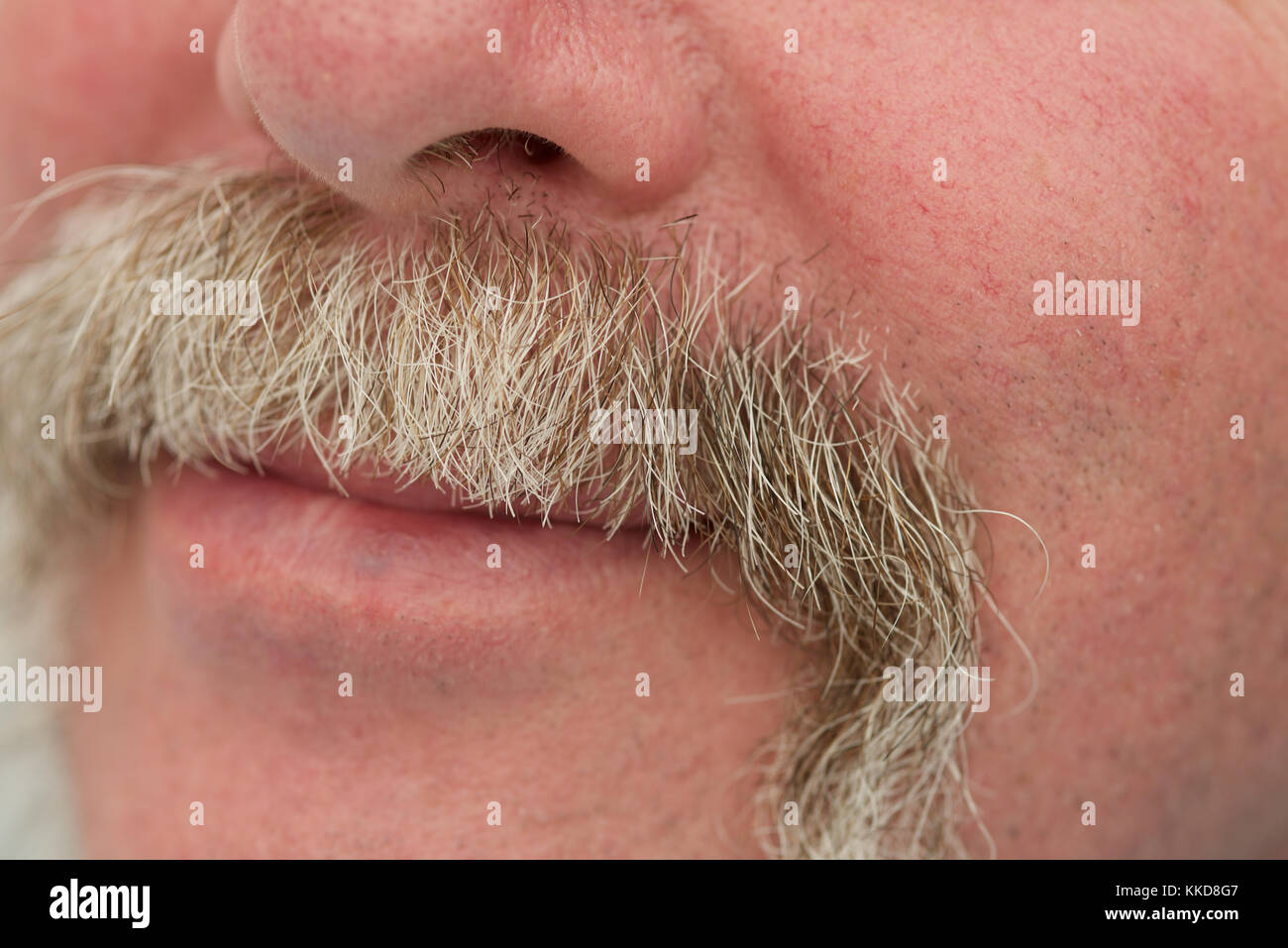 Moustache close up hi-res stock photography and images - Alamy