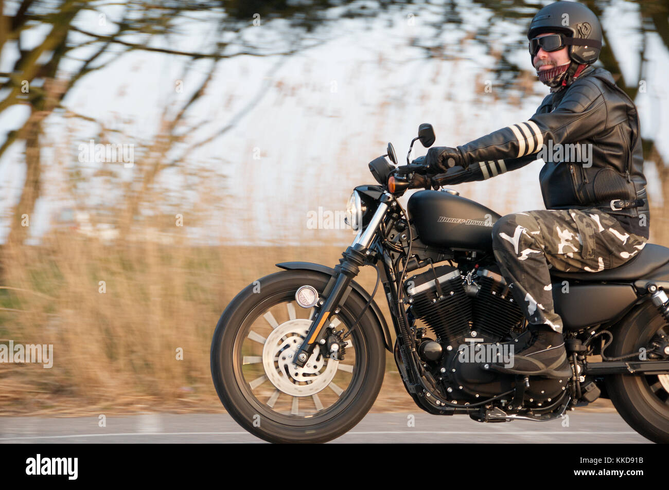 Man riding a Harley Davidson motorcycle Stock Photo - Alamy