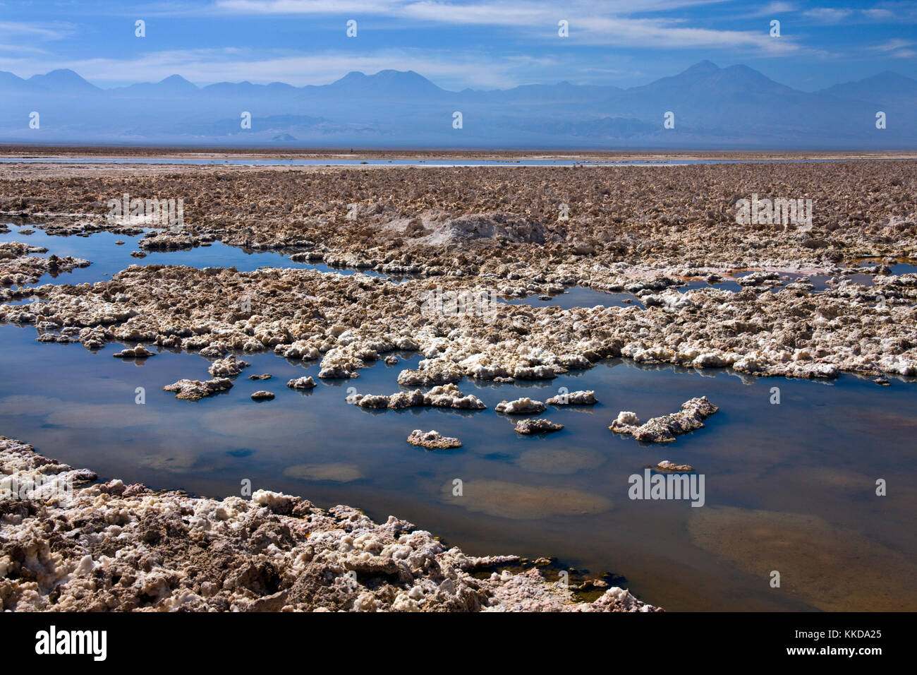 Brine pools on the Atacama Salt Flats in the Atacama Desert in northern ...