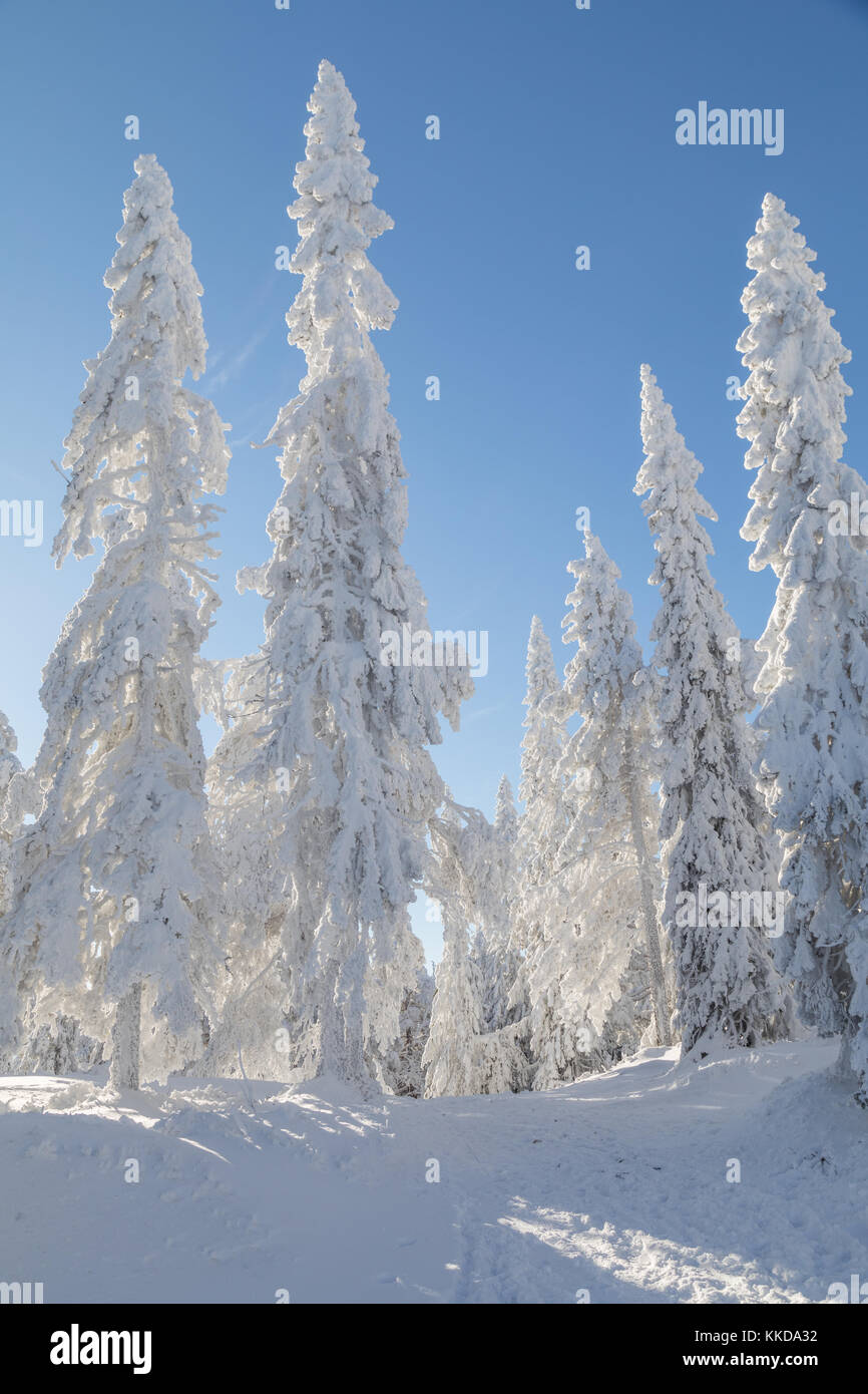 Knuteveien hi-res stock photography and images - Alamy