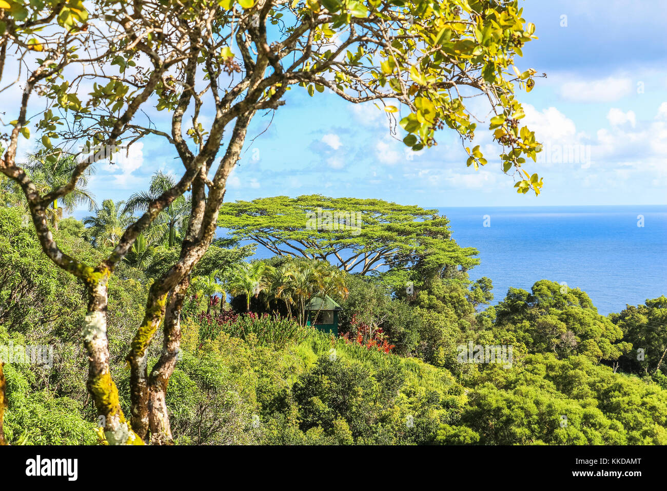 Garden of eden landscape view on Maui on Hawaii Stock Photo - Alamy