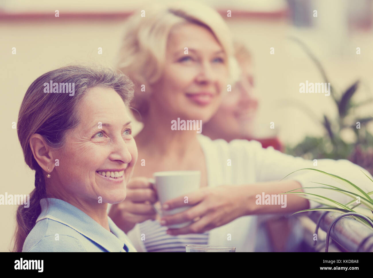 Elderly friends having tea hi-res stock photography and images - Alamy