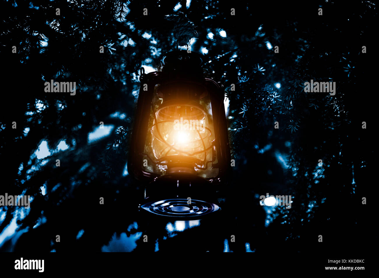 light lantern hanking on pine tree in dark background Stock Photo - Alamy