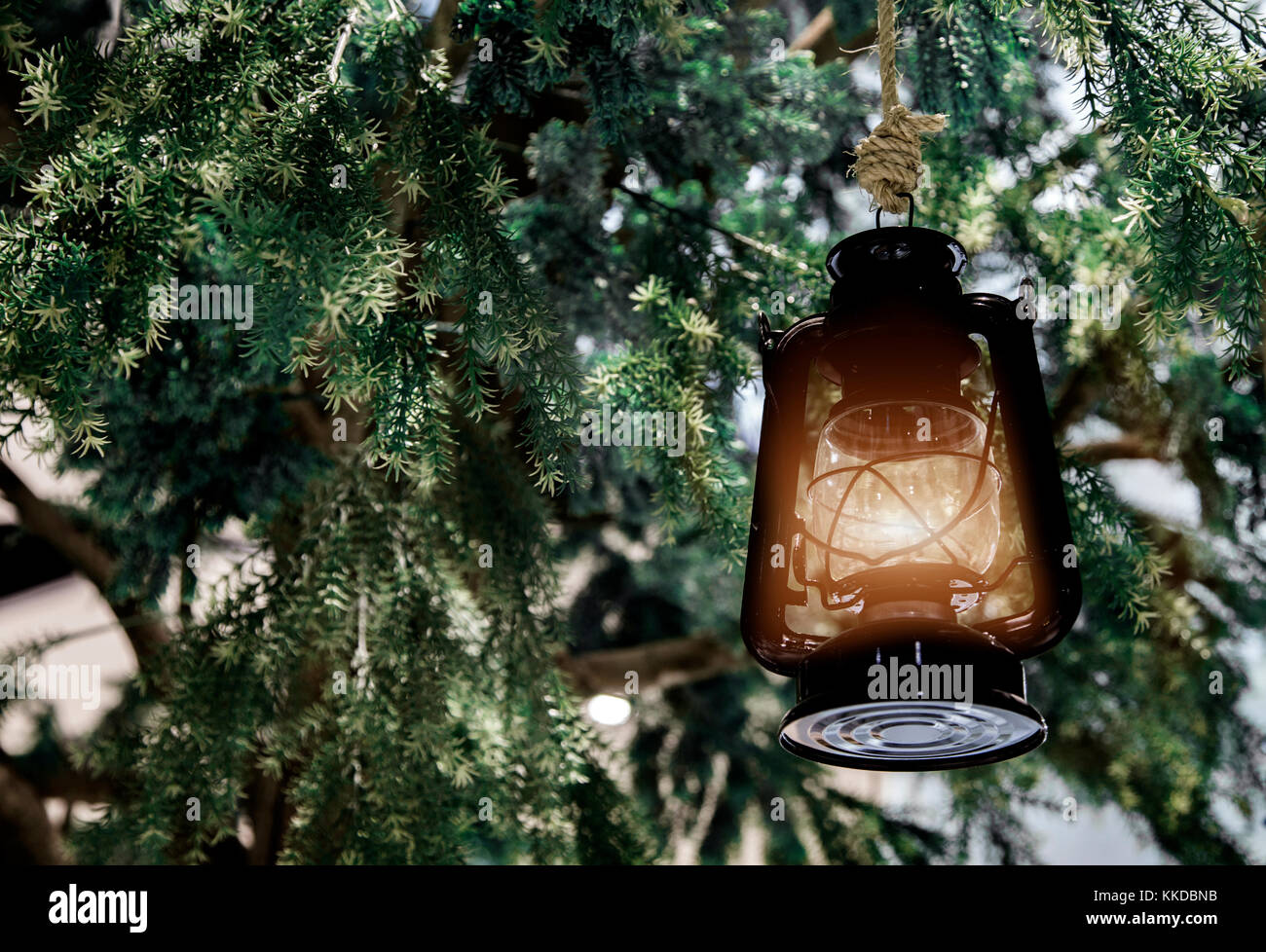 light lantern hanking on pine tree in dark background Stock Photo - Alamy
