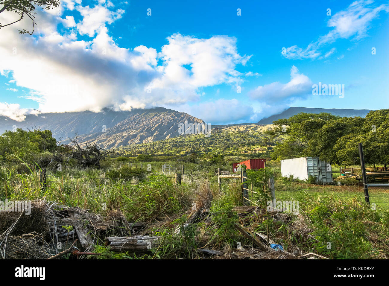View on rural landscape of Maui island on Hawaii Stock Photo - Alamy