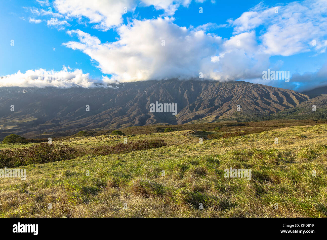 View on rural landscape of Maui island on Hawaii Stock Photo - Alamy
