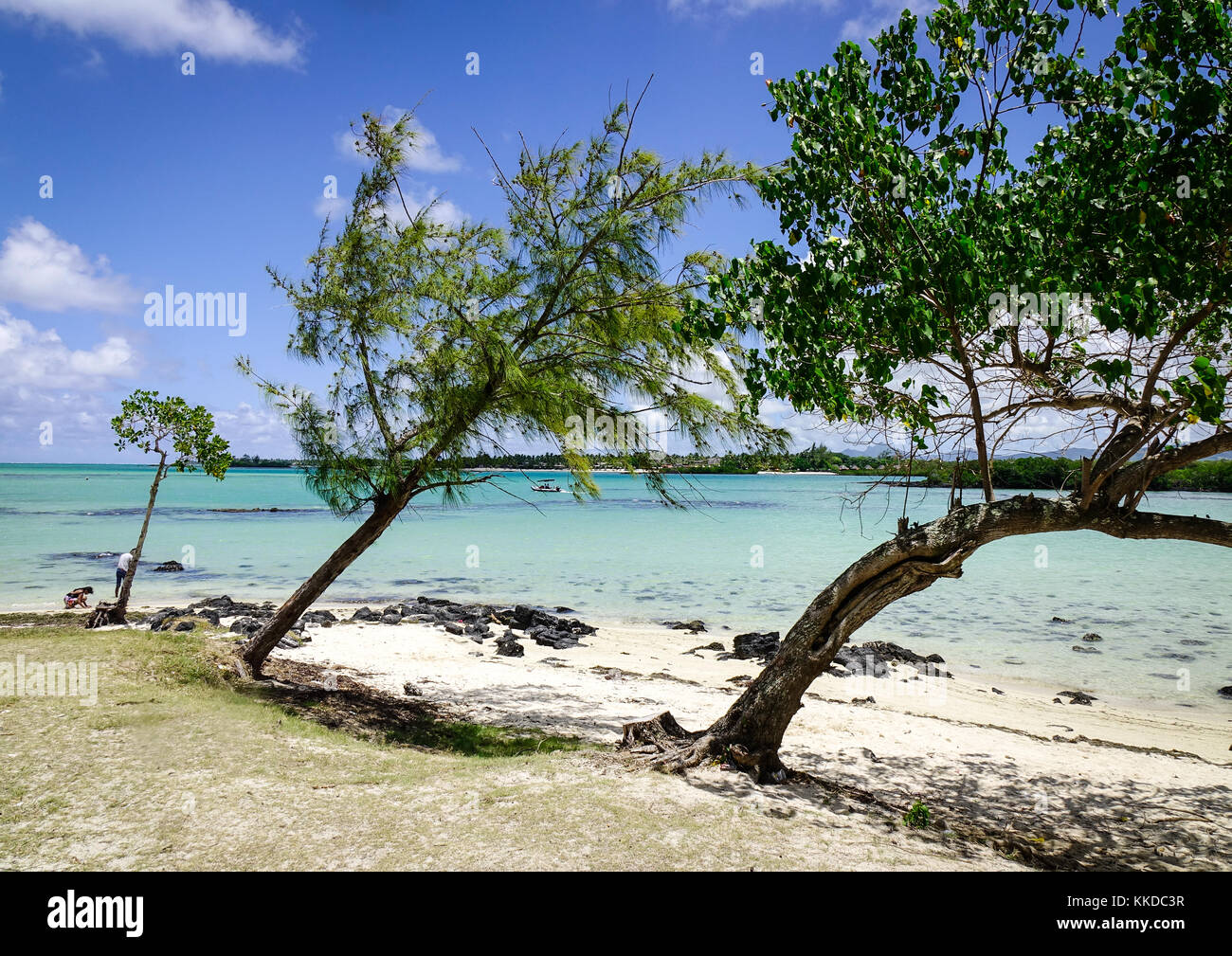 Green trees with blue sea in Cap Malheureux, Mauritius Stock Photo - Alamy