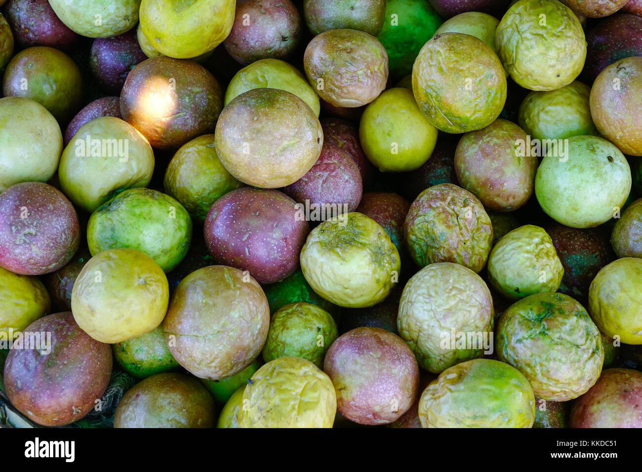 Mauritius peru hi-res stock photography and images - Alamy