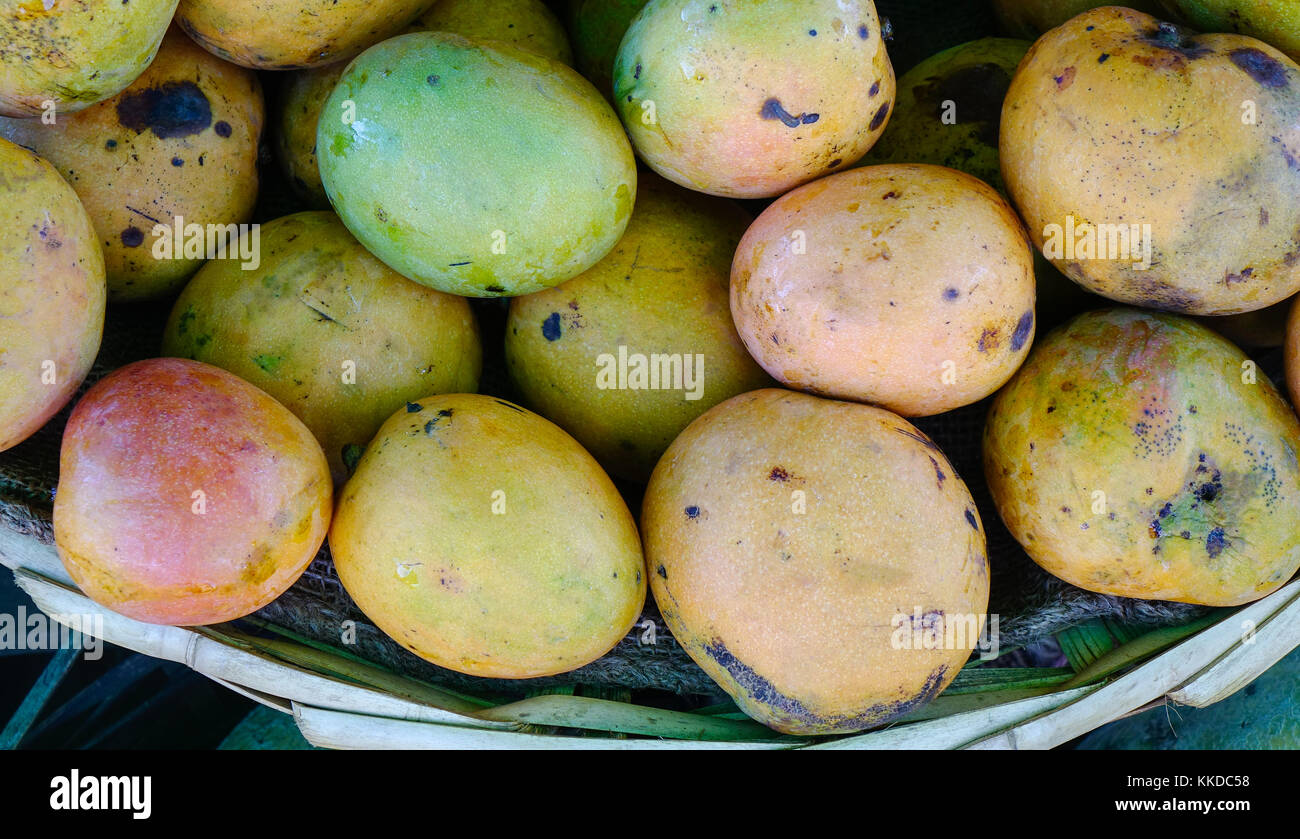 Sweet mango fruits at the rural market in Port Louis, Mauritius Stock ...
